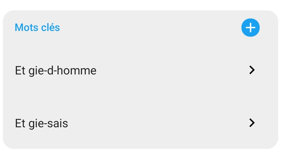 Reco vocal: Mot clef perso non selectionnable dans gdrive ...